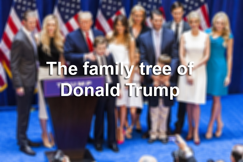 Meet the family of Republican presidential candidate Donald Trump