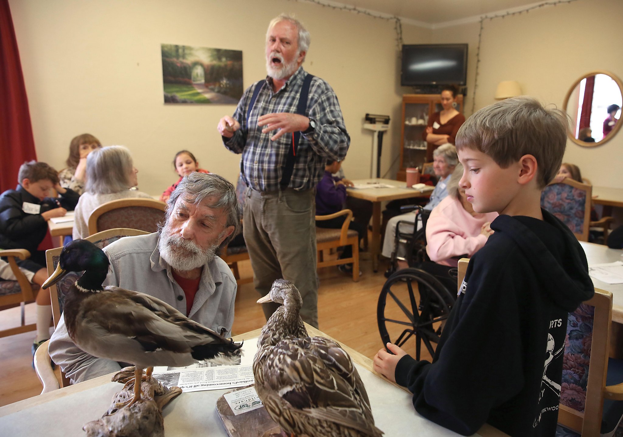 Famous Marin duck starts giving government-required duck lessons