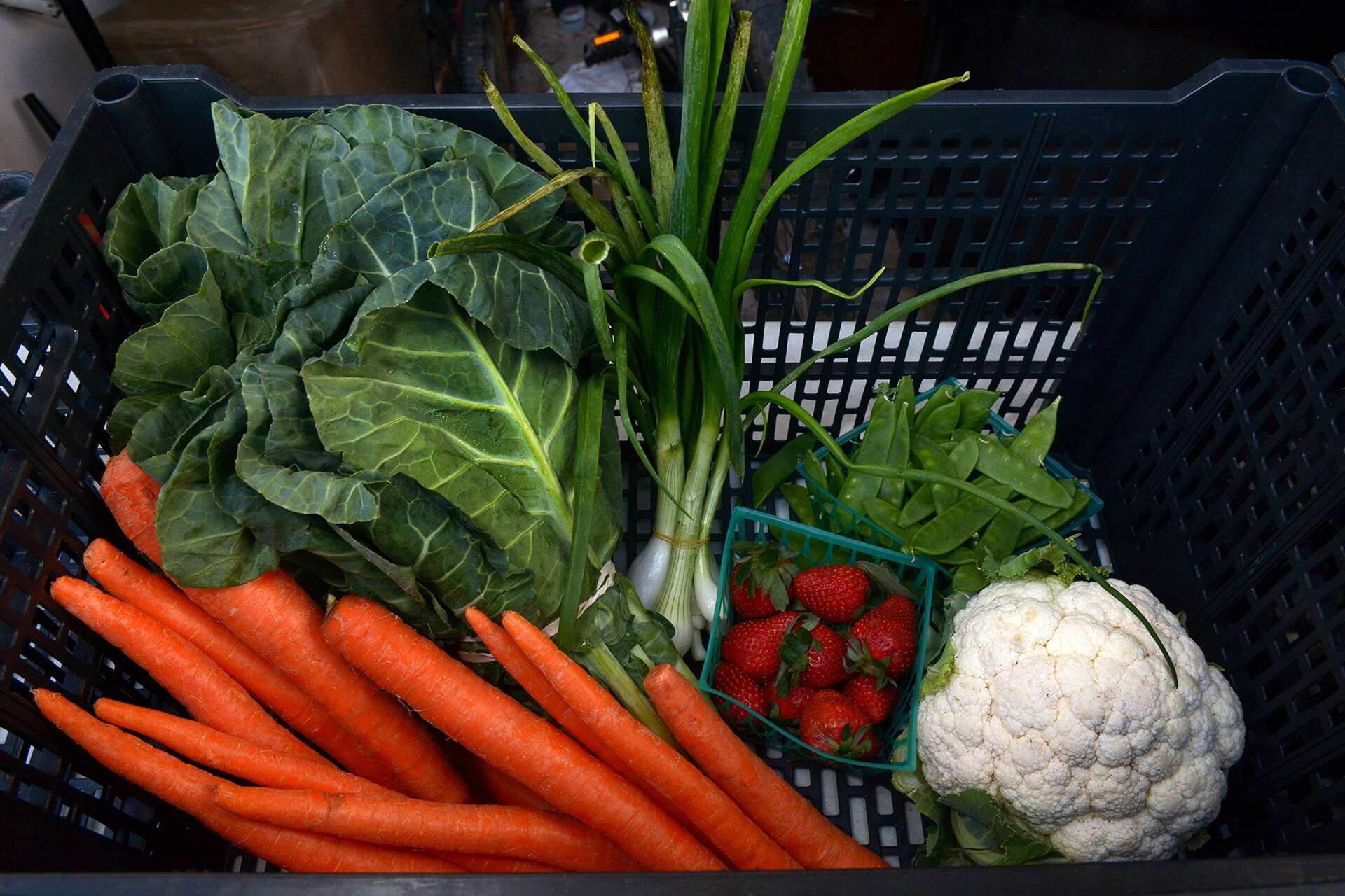 Cypress couple's co-op brings in fresh produce