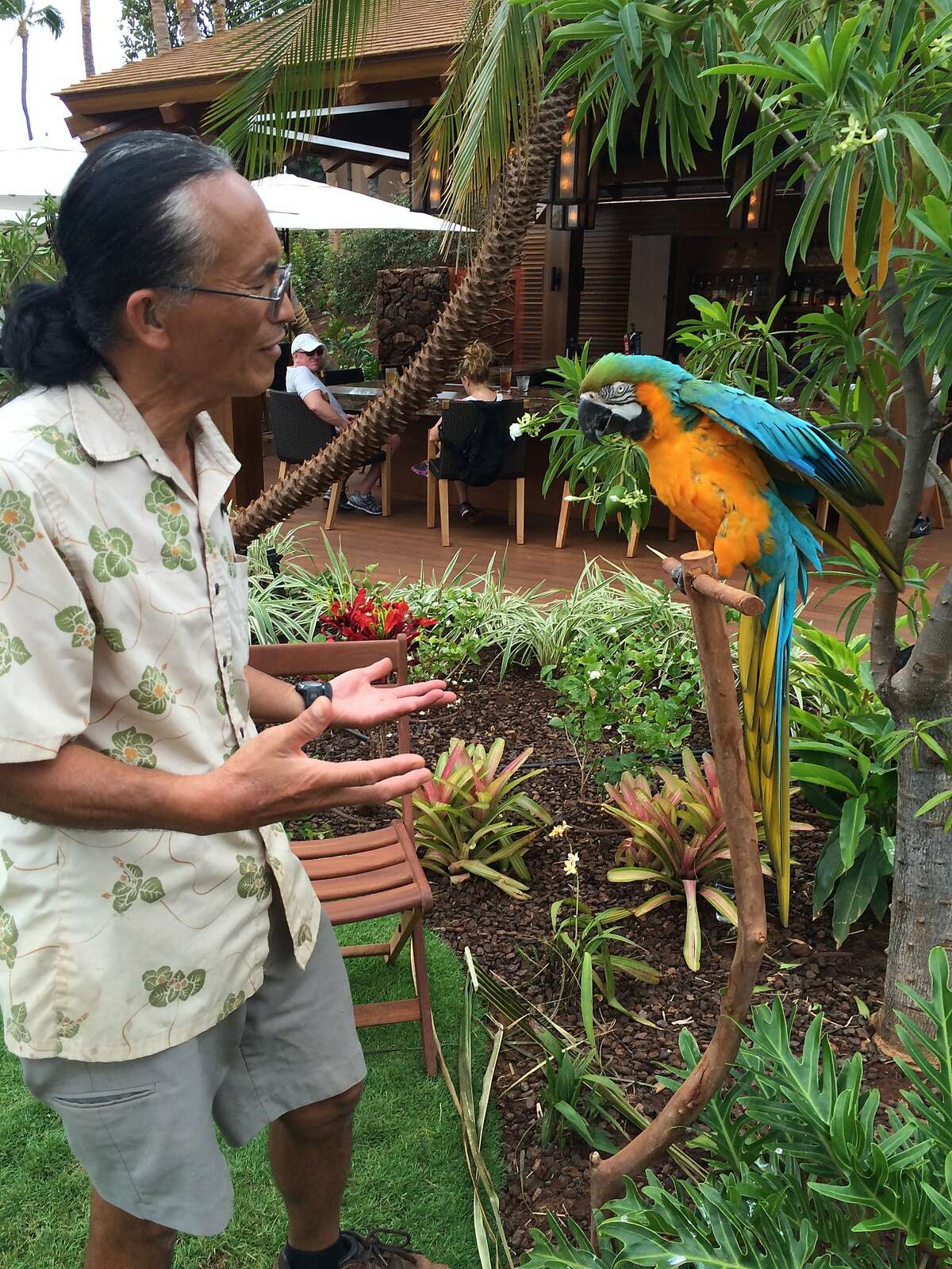 Lanai’s Four Seasons resort gets mega-makeover from Larry Ellison