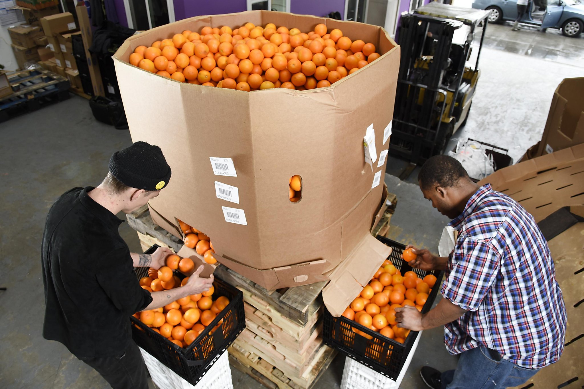 New report tackles food waste in America