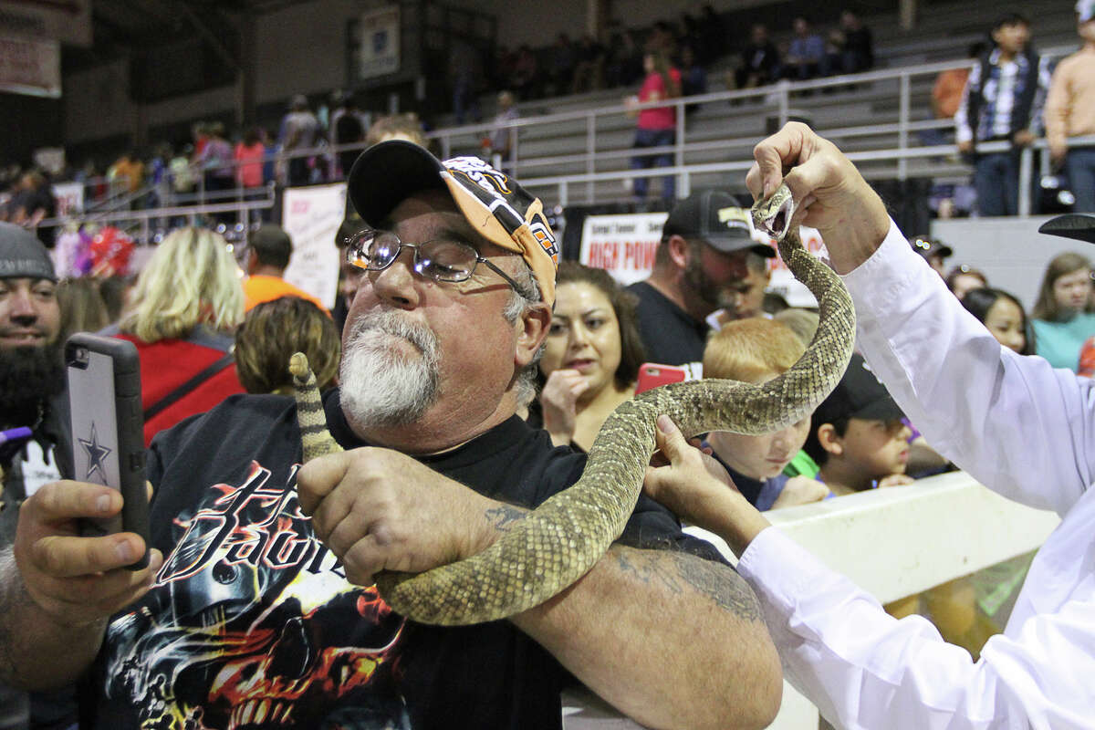 The best photos from the World’s Largest Rattlesnake Roundup in ...