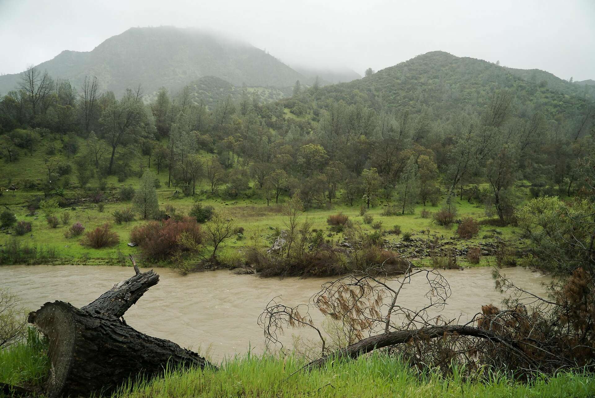 Caribou Wilderness, where there are more bears than people