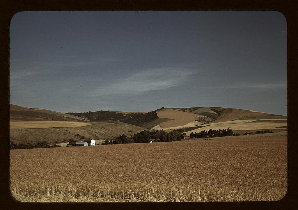 Road Trip to Walla Walla: Wine, a waterfall and golden sunsets