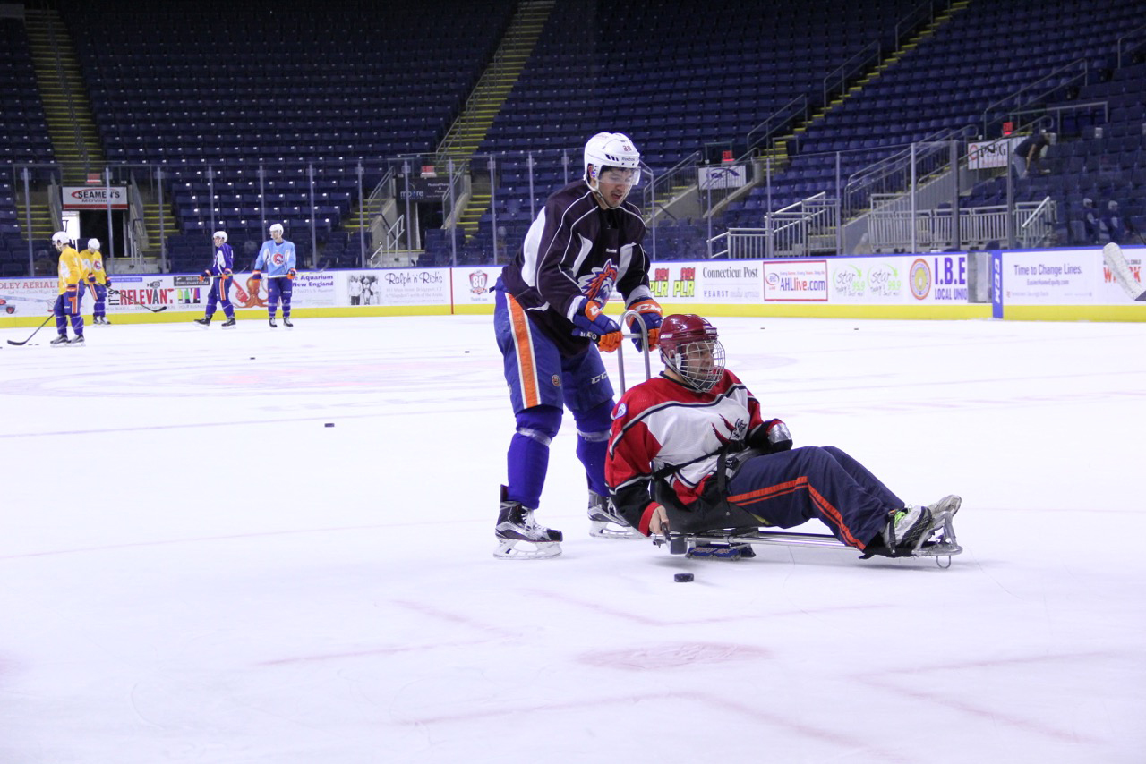 Sound Tigers try sled hockey with Connecticut Wolfpack