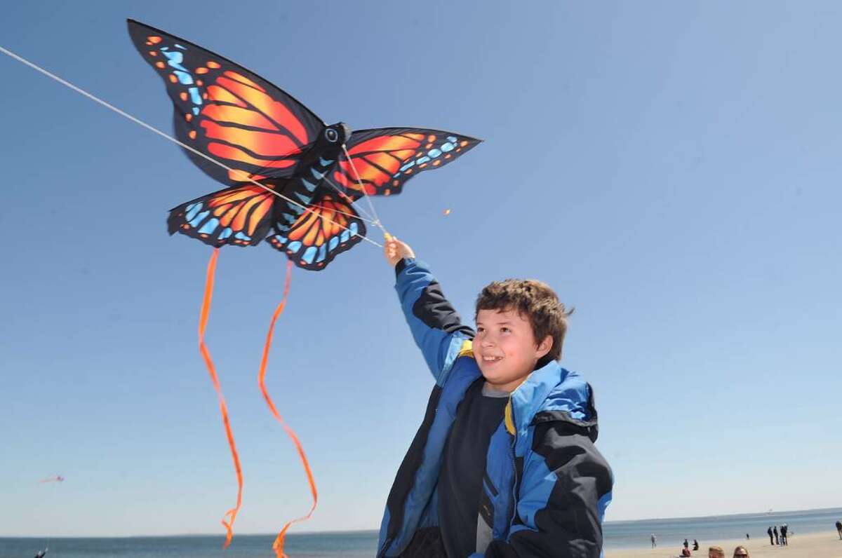 Kite-flying enthusiasts soar to new heights at the Point