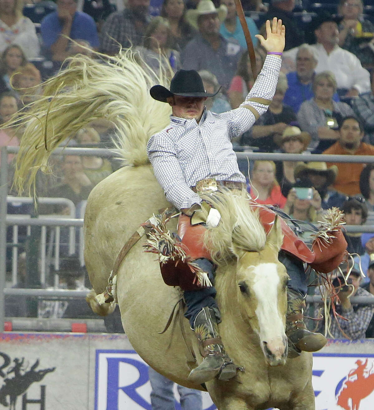 Texas man rides horse into Taco Bell