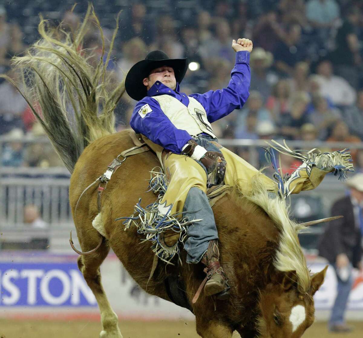 Top steer draws $375K at Rodeo auction