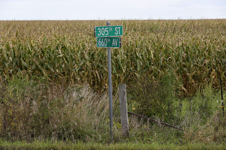 Tall corn poses seasonal road hazard in Midwest
