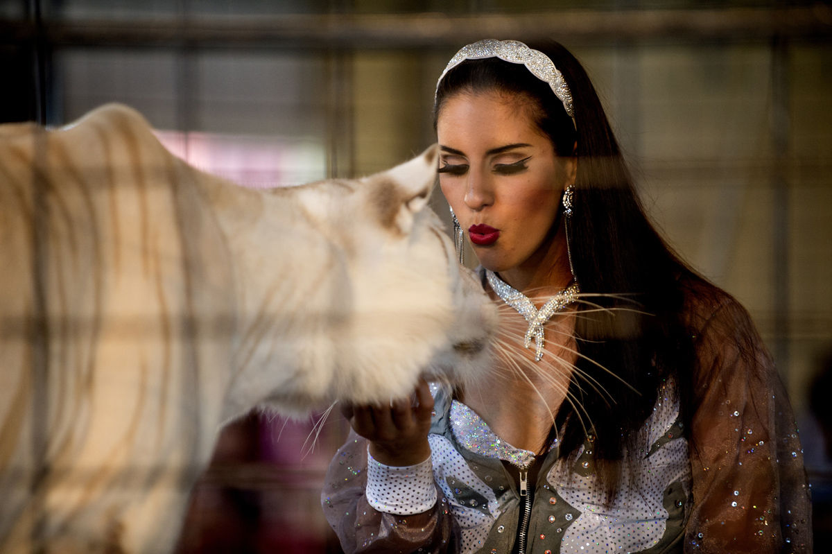Circus comes to Midland County Fairgrounds