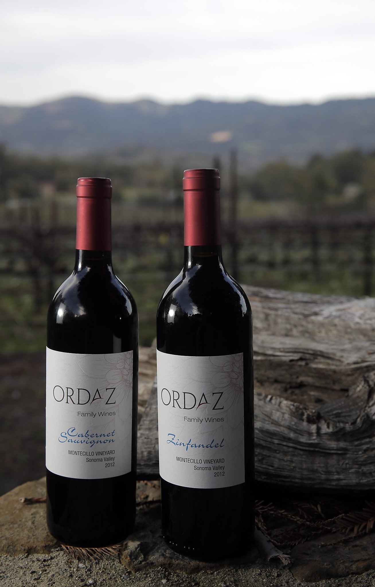 Tasting Notes: The Ordaz Family Wines