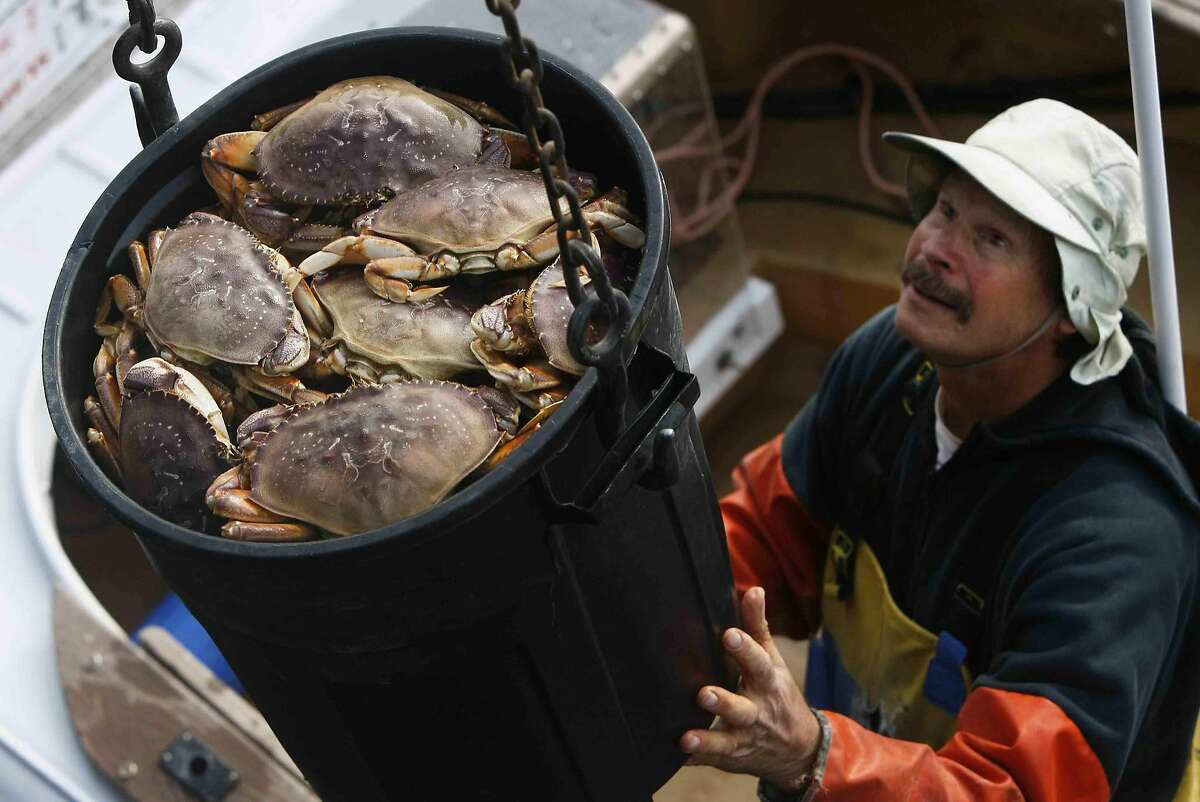 Commercial crab season for chunks of coast to stay closed