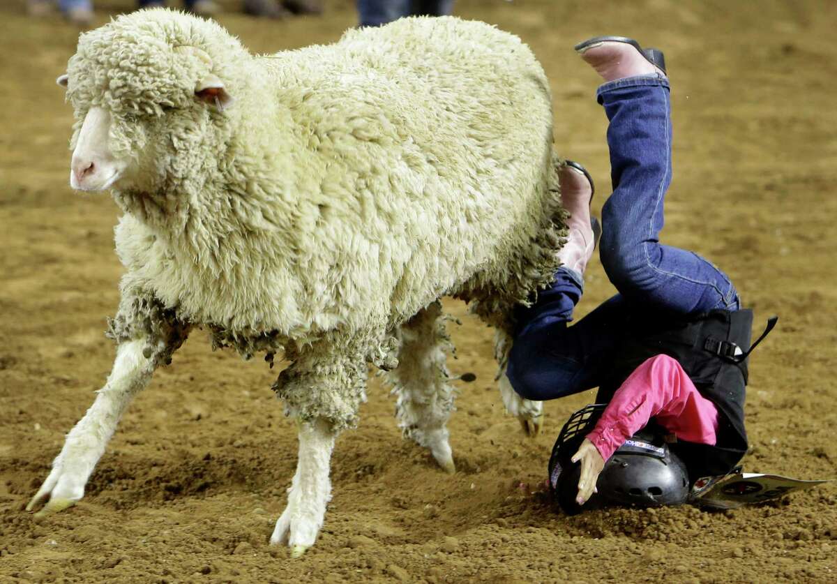 Texas man rides horse into Taco Bell