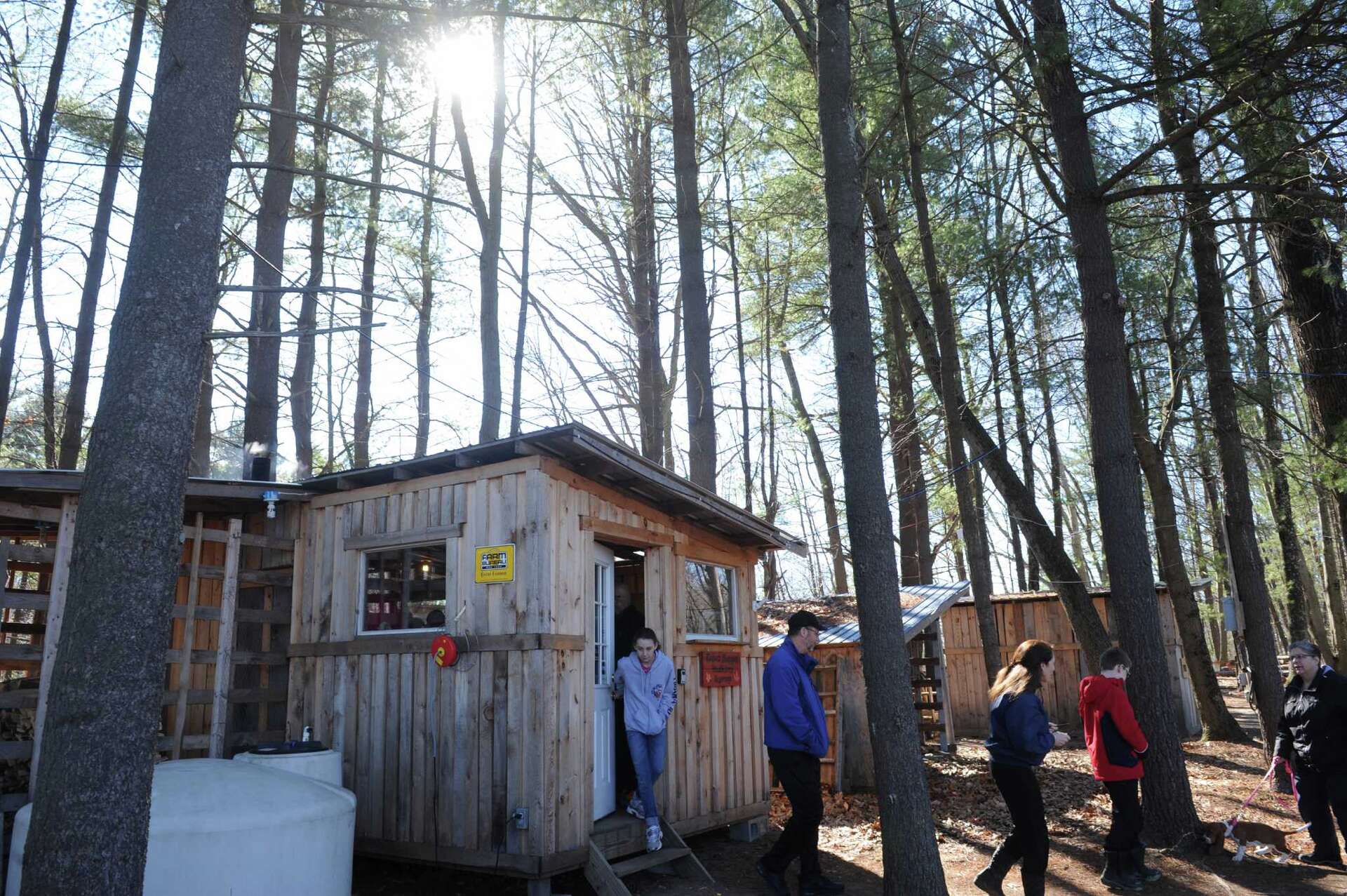 Maple syrup thefts prompt call to action