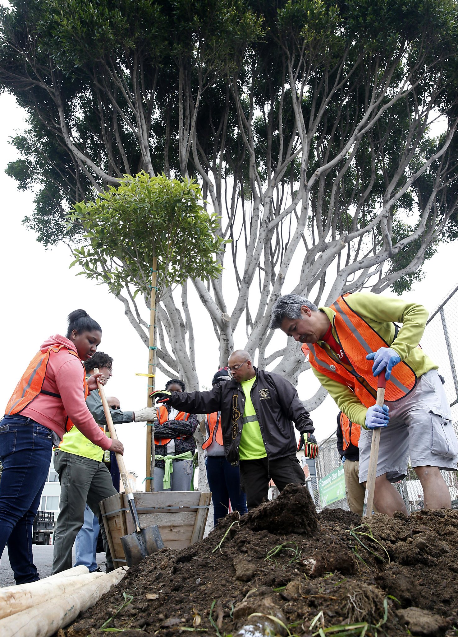 400 volunteers plant trees in San Francisco