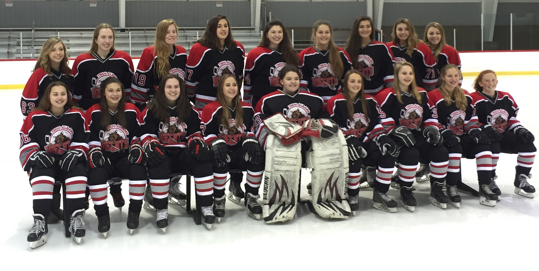 Youth Sports: Ice Cats headed to states