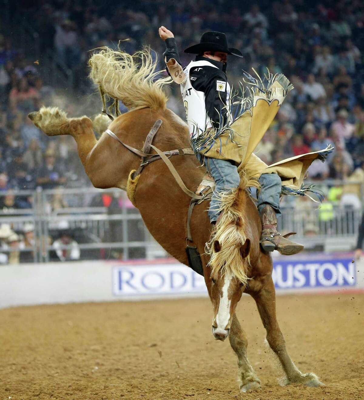 Paisley marvels Rodeo crowd