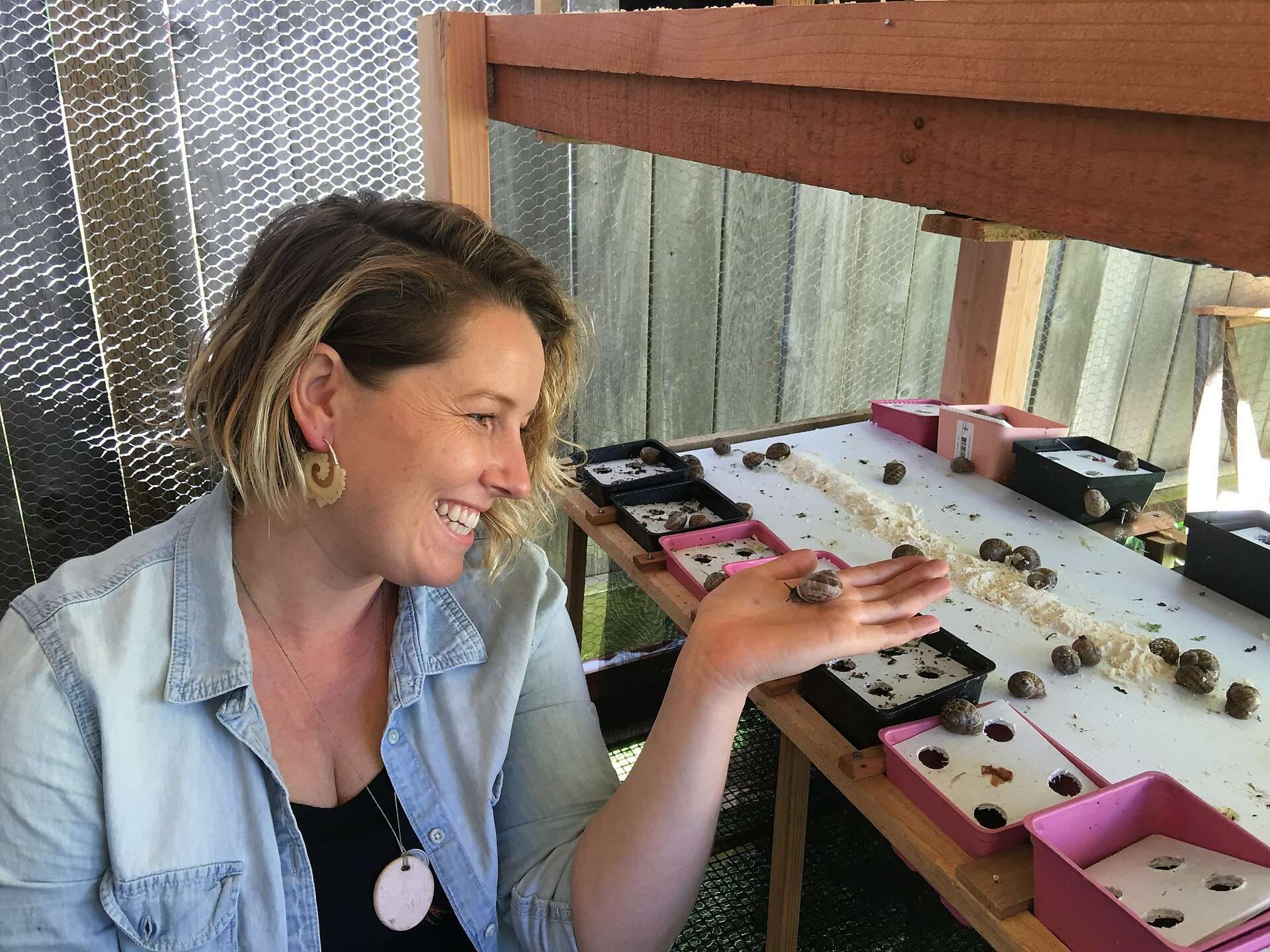 EscarGrow Farms’ unusual snail business finds niche in food scene