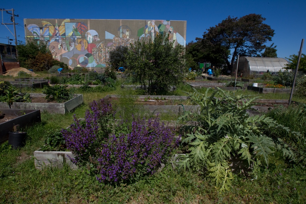 Man attacked with paintball gun near Candlestick Point