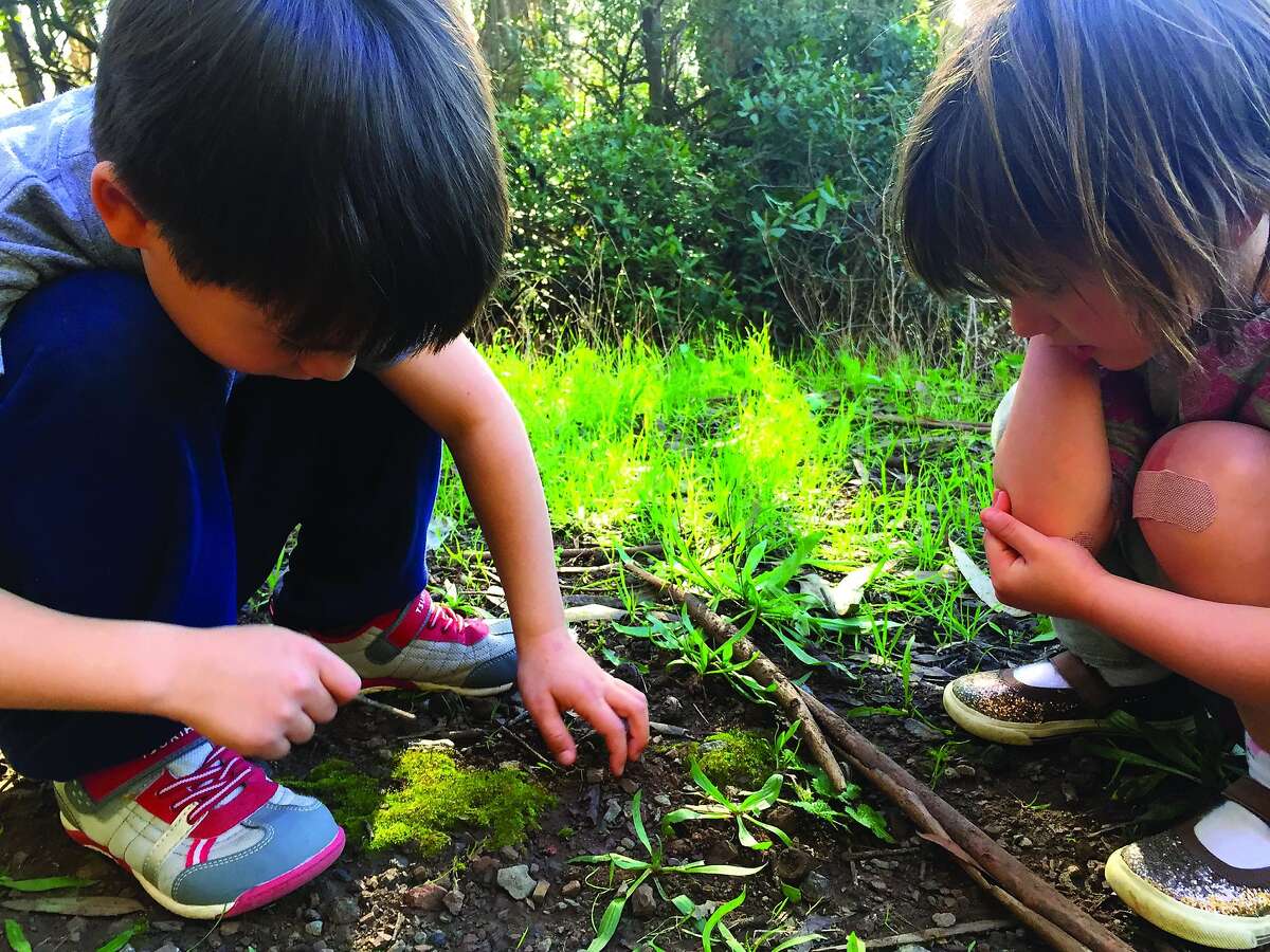 Museum camps explore magic of nature, science