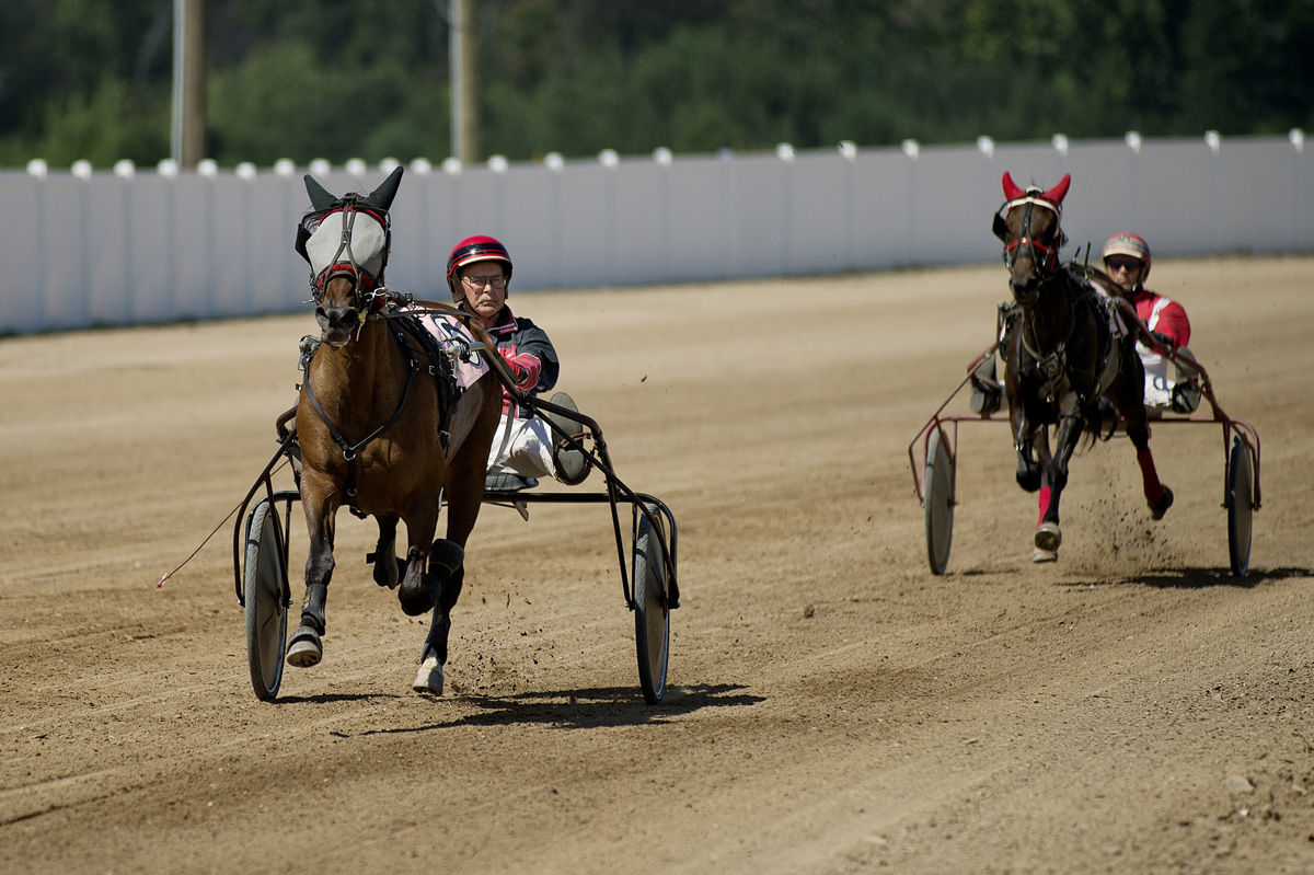Harness racing returns to Midland County Fair on Sunday