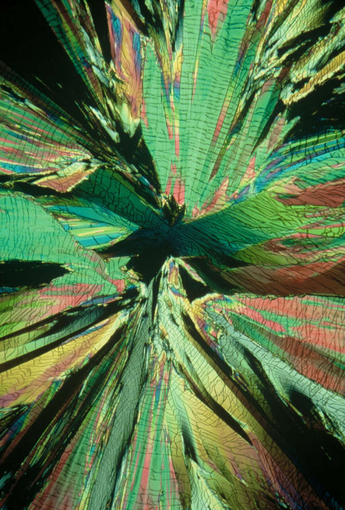 Kolb's art on display at Healing Arts Gallery