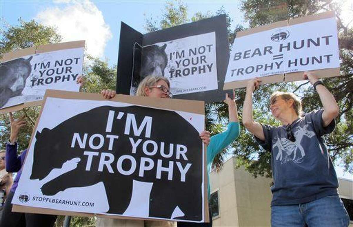 Bear attacks man on eve of controversial hunt