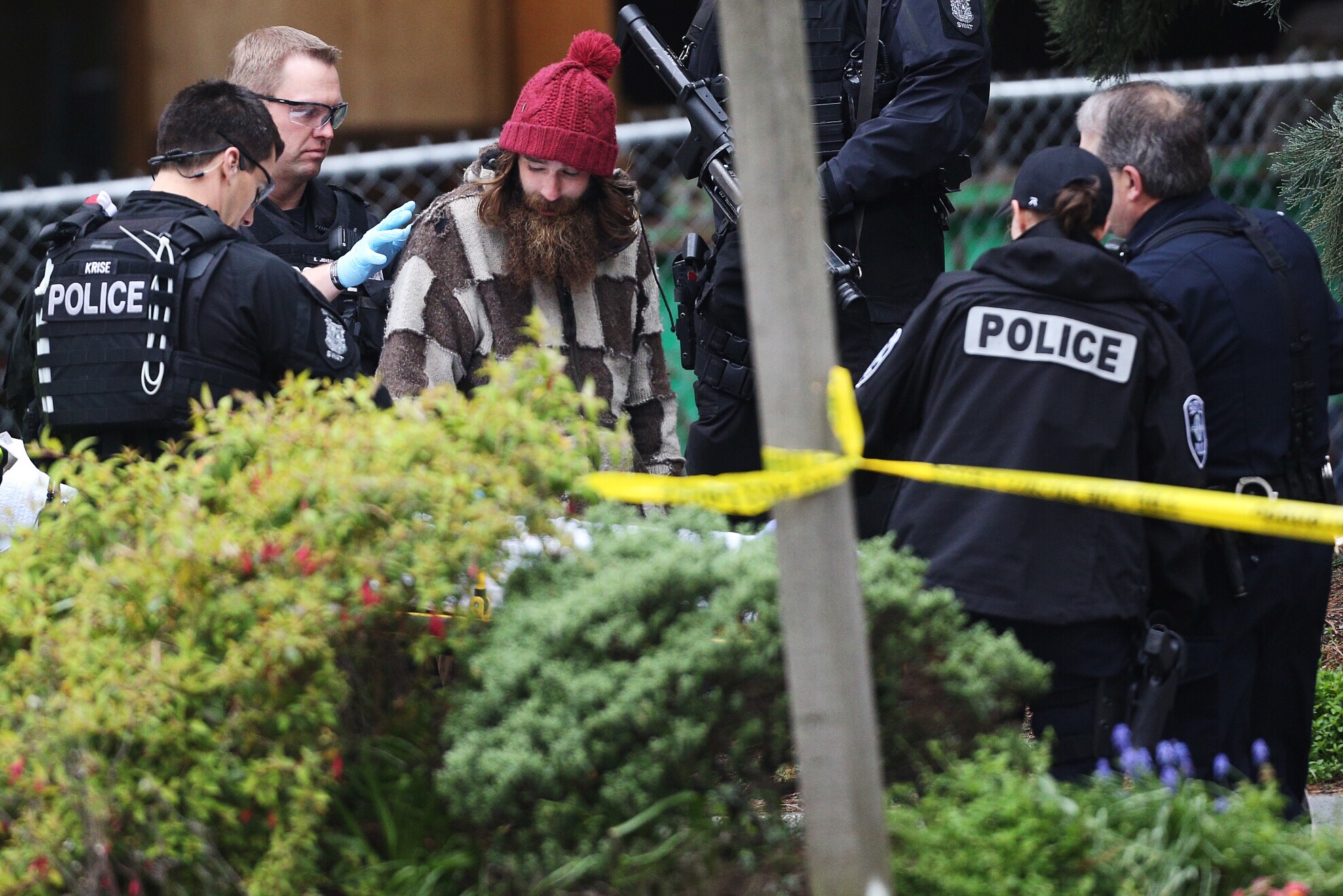 After 24 hours, 'Tree Man' comes down