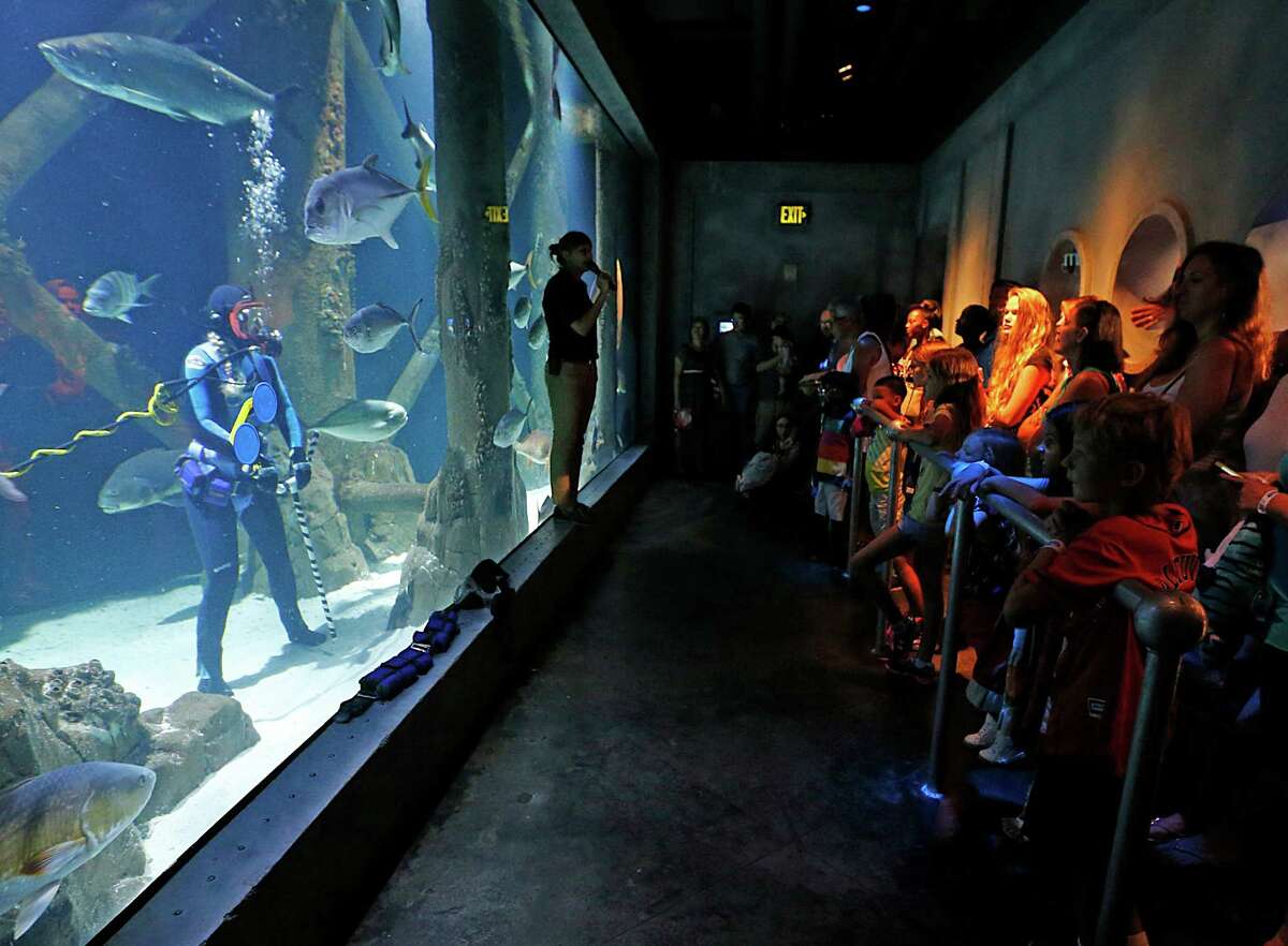 9 things you must do in downtown Houston on your next visit