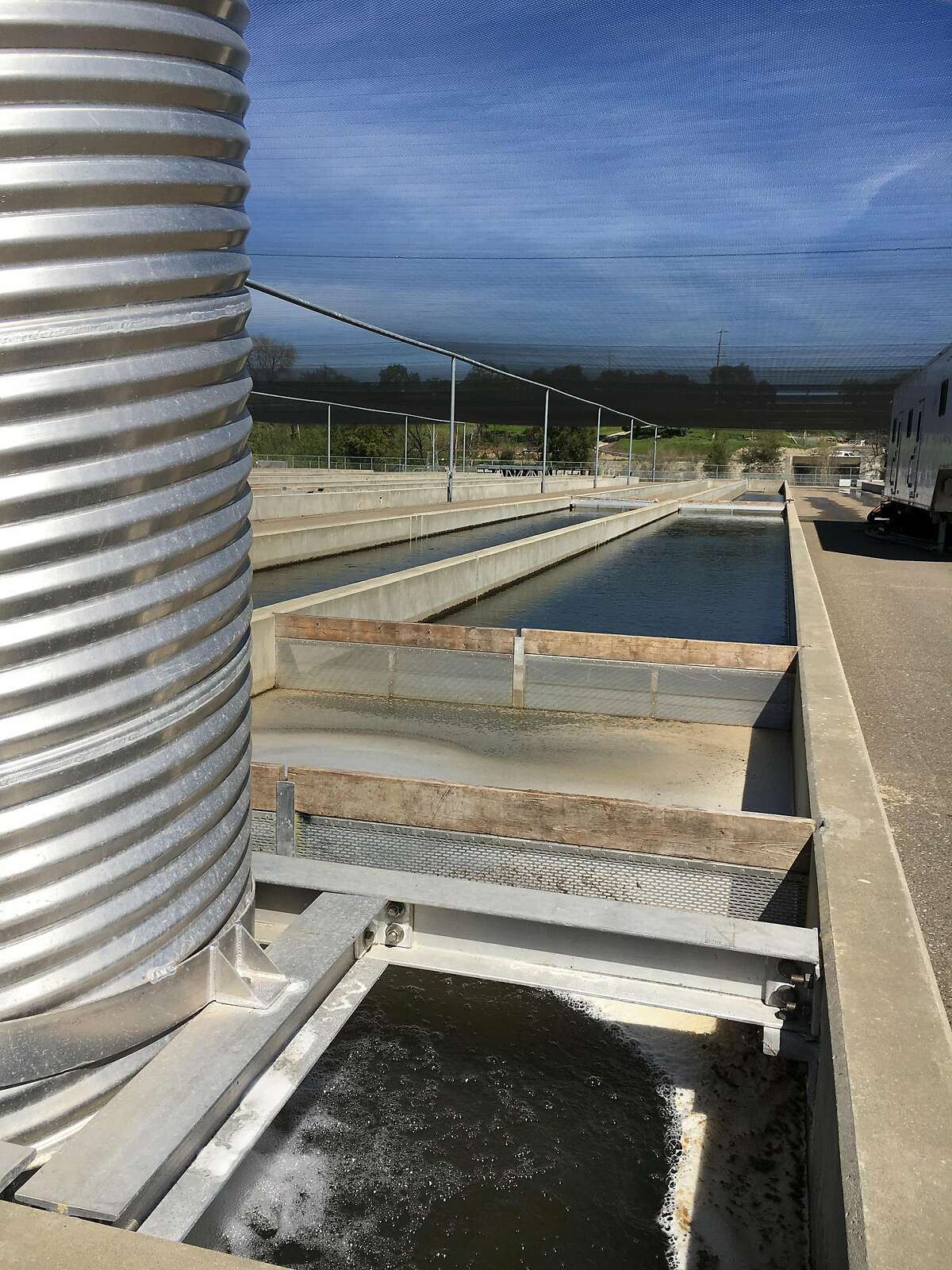 One Day, One Place: Lodi, along the Mokelumne River