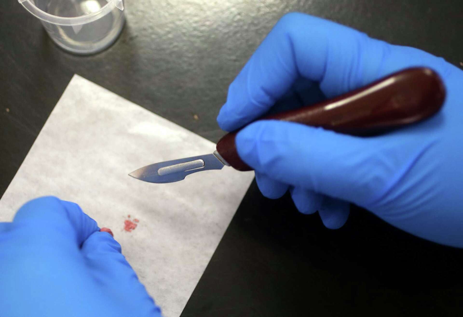 Harris County crime lab faces heavy backlog of DNA cases