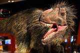 Bird research says dinosaurs didn't actually roar