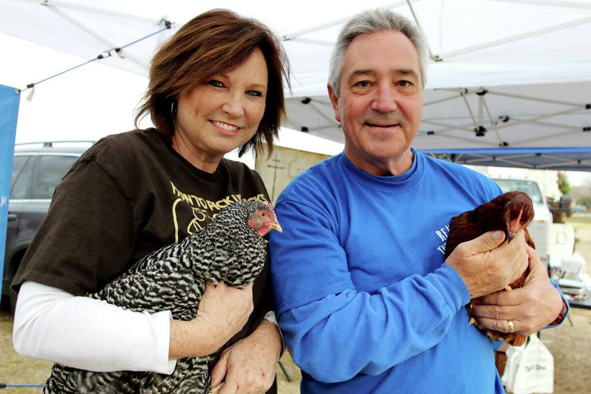 Couple offers the latest rental item - chickens
