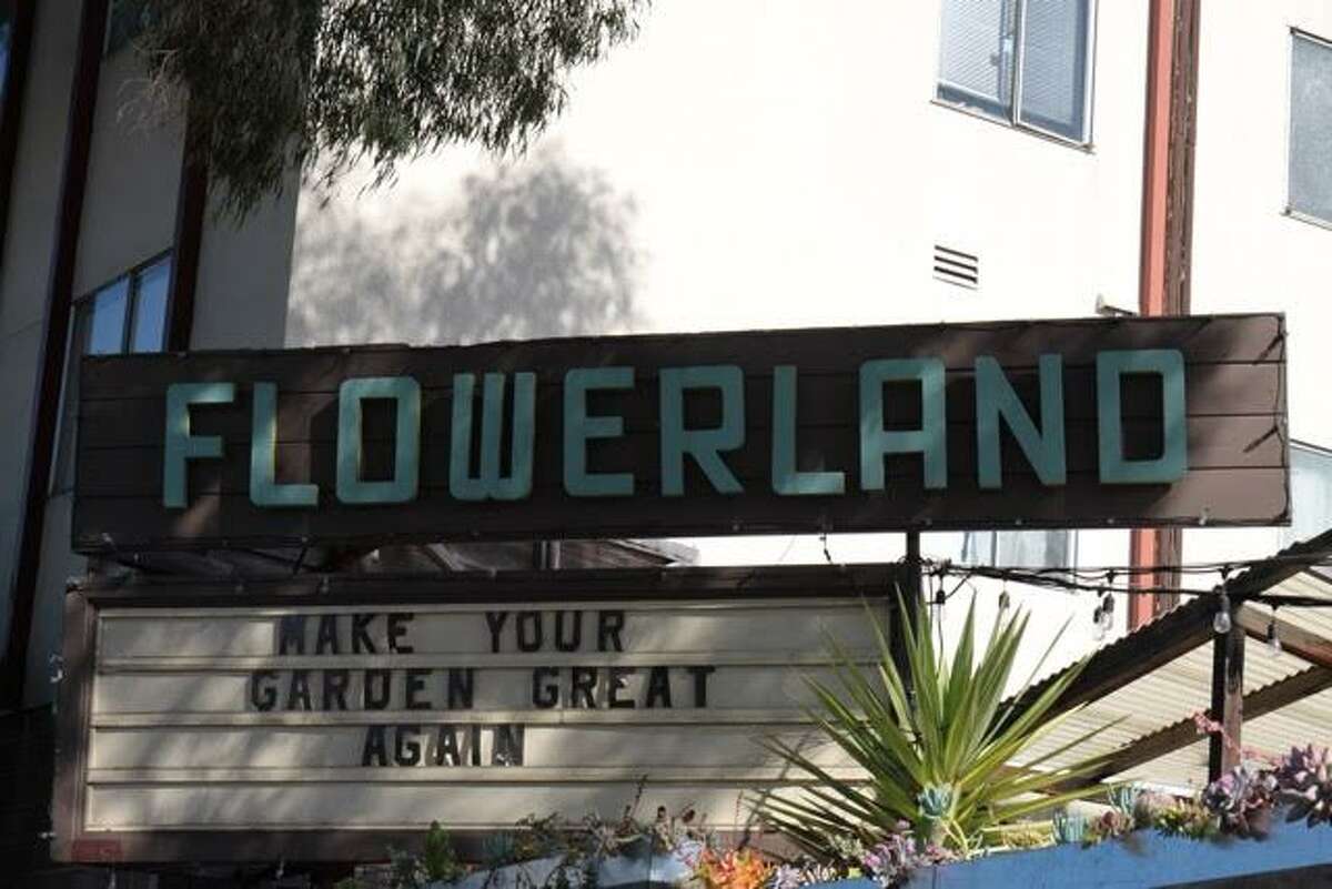 30 plants perfect for the Bay Area spring