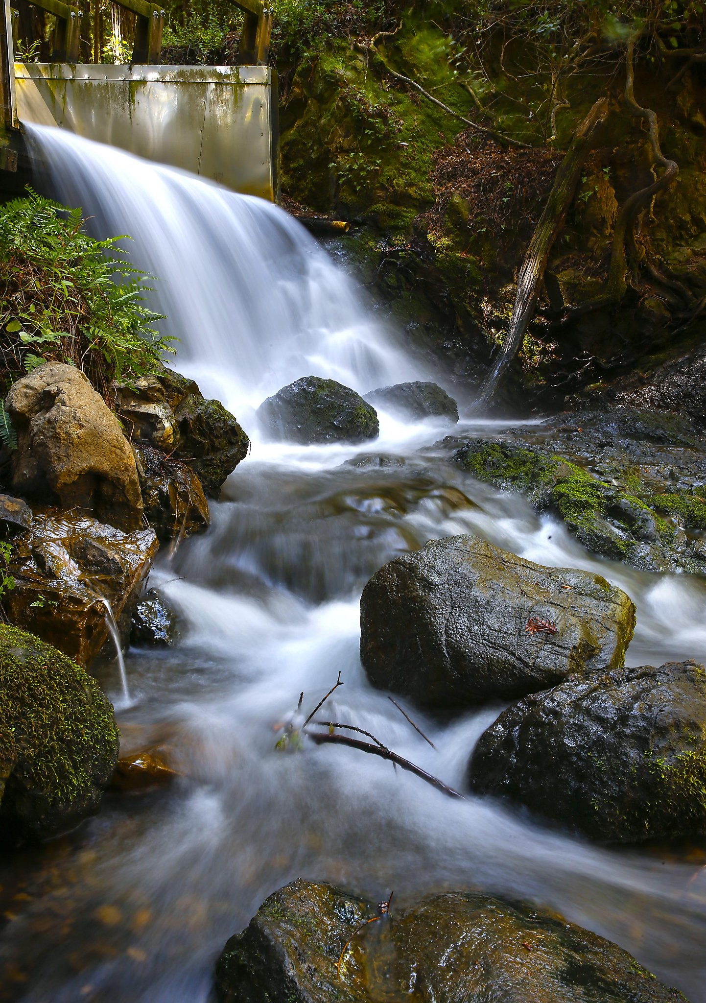 Unimpressive El Niño leaves California in water limbo