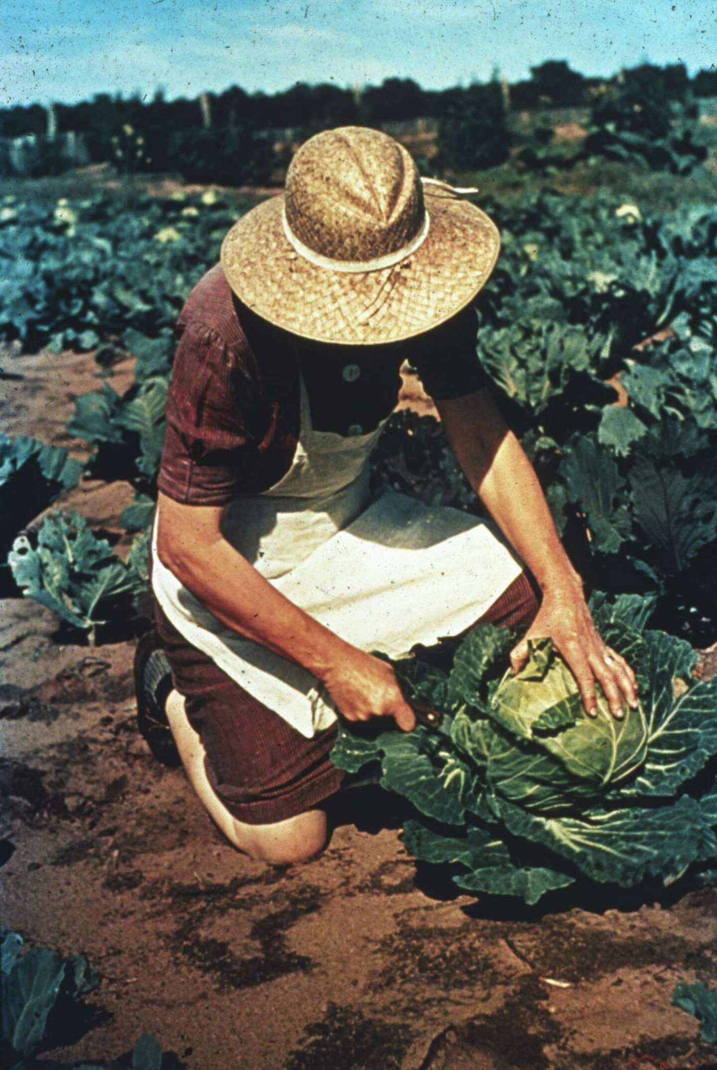 See rare color photos from the Dust Bowl during the Great Depression