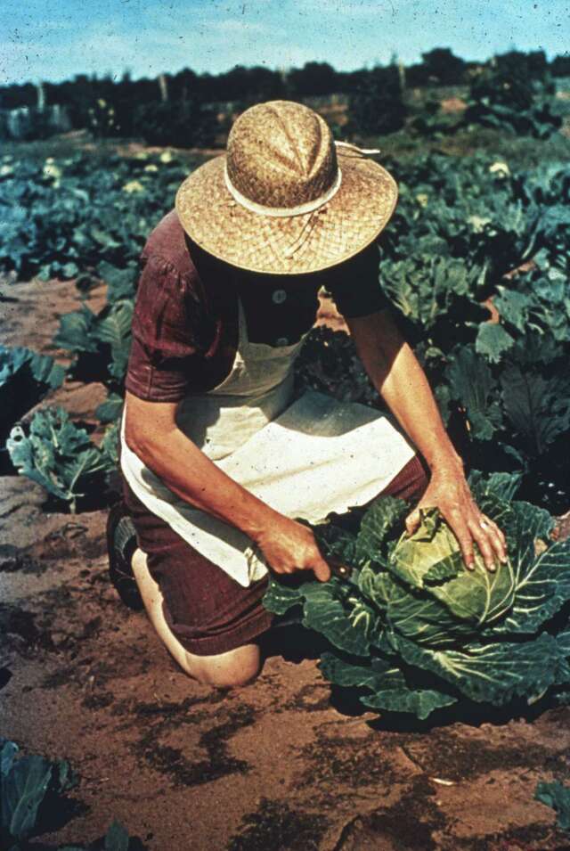 See rare color photos from the Dust Bowl during the Great Depression