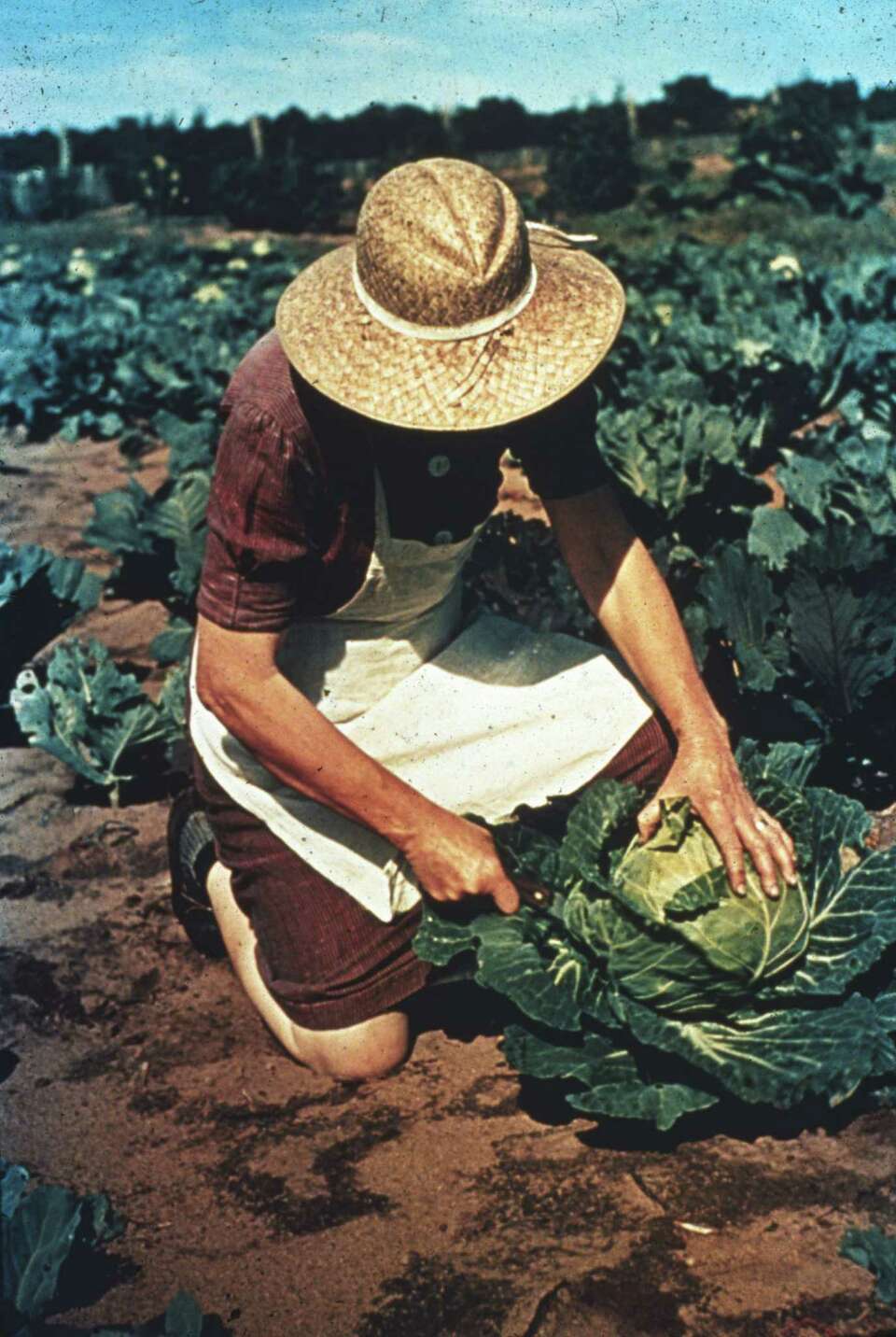 See rare color photos from the Dust Bowl during the Great Depression