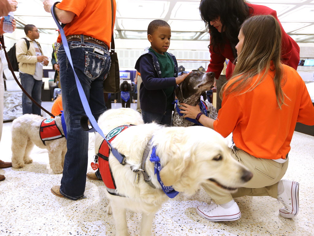 Therapy dogs take over Bush Intercontinental Airport