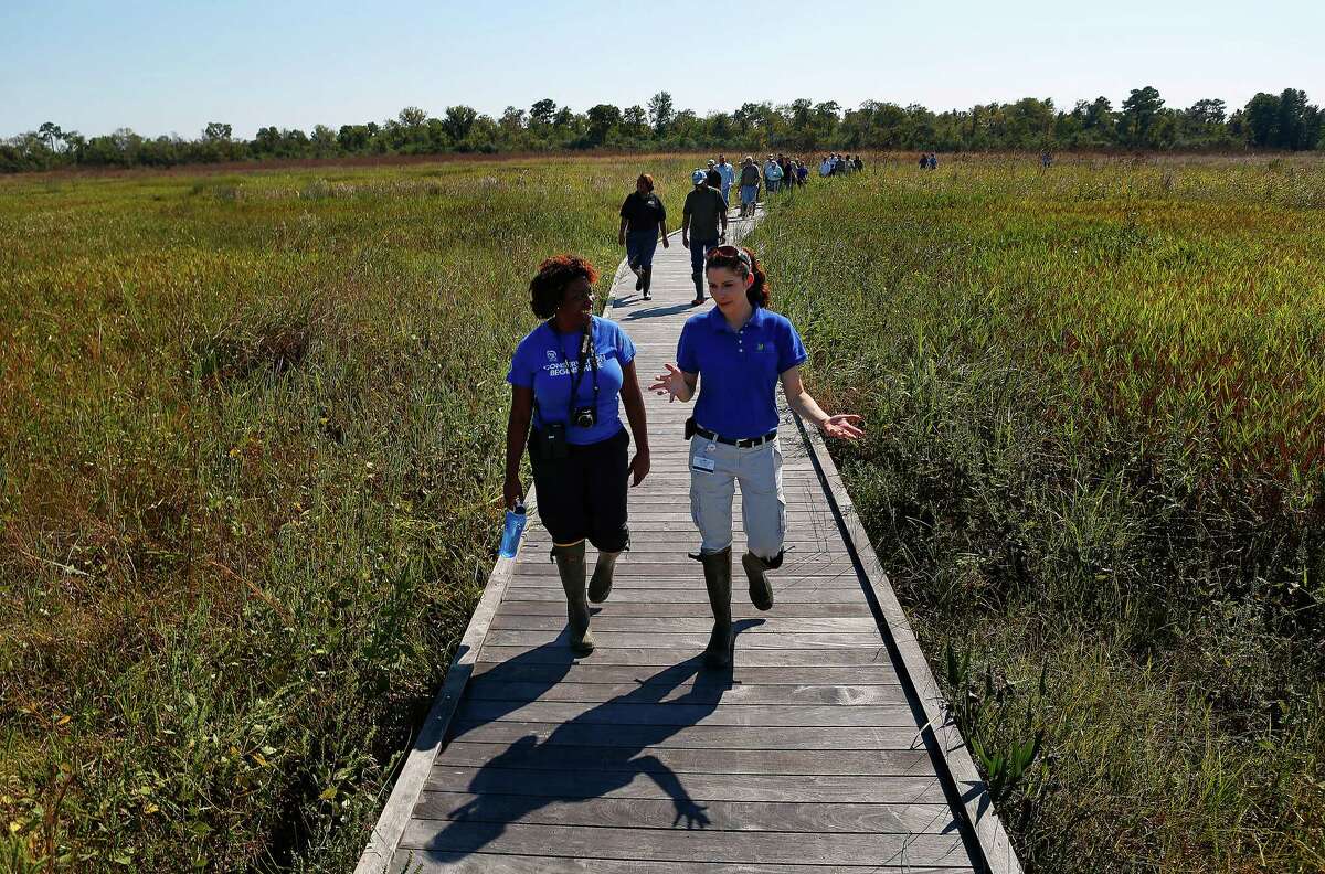 Volunteers transform Sheldon Lake State Park
