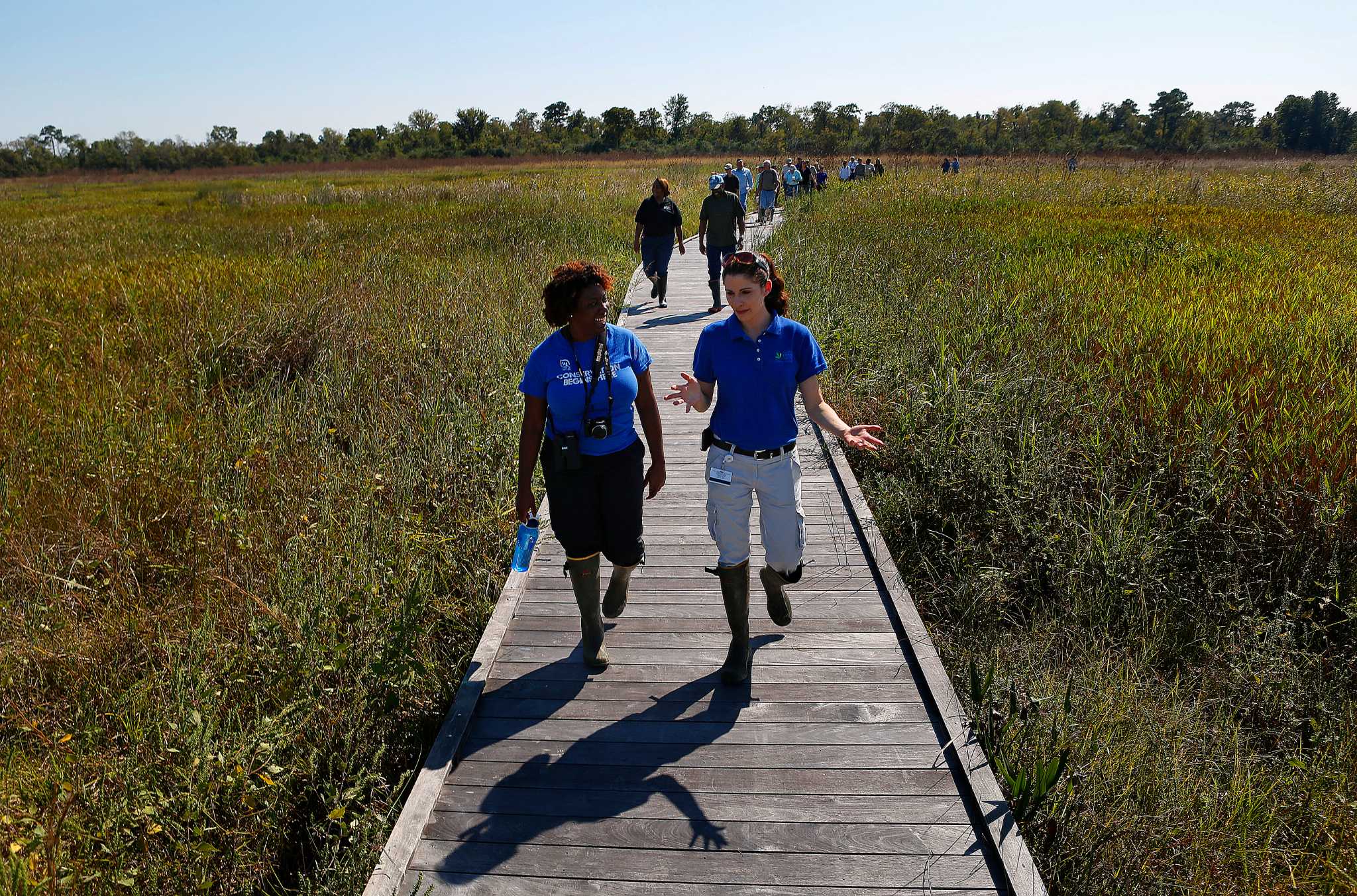 Volunteers transform Sheldon Lake State Park