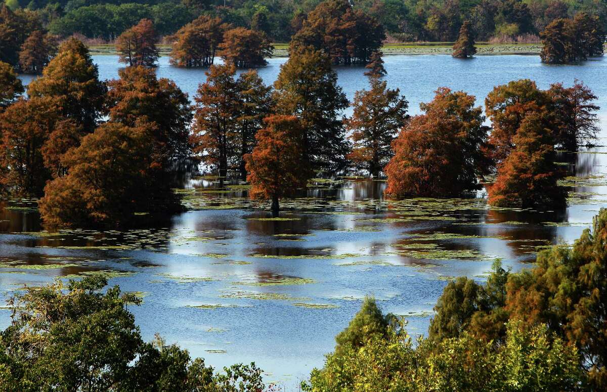 Volunteers transform Sheldon Lake State Park