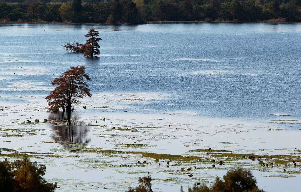 Volunteers transform Sheldon Lake State Park