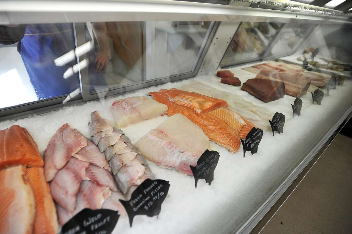 Bio-engineered fish are target of lawsuit