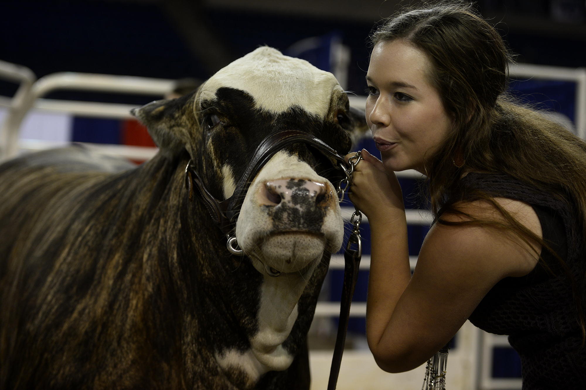 Texas State Fair Animals Animals | South Carolina State Fair
