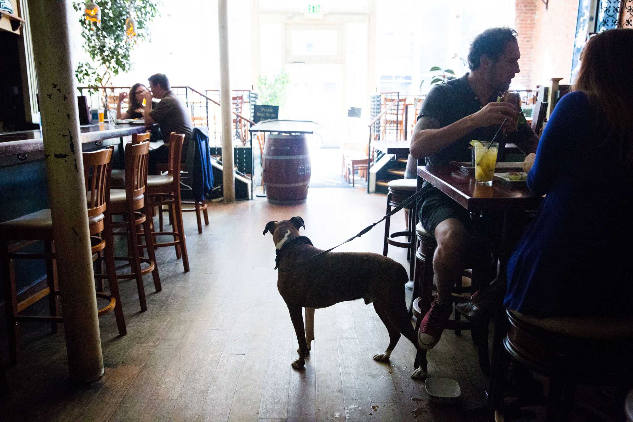 After 9 years, Belltown Pub closes its doors due to 'ever-rising costs'