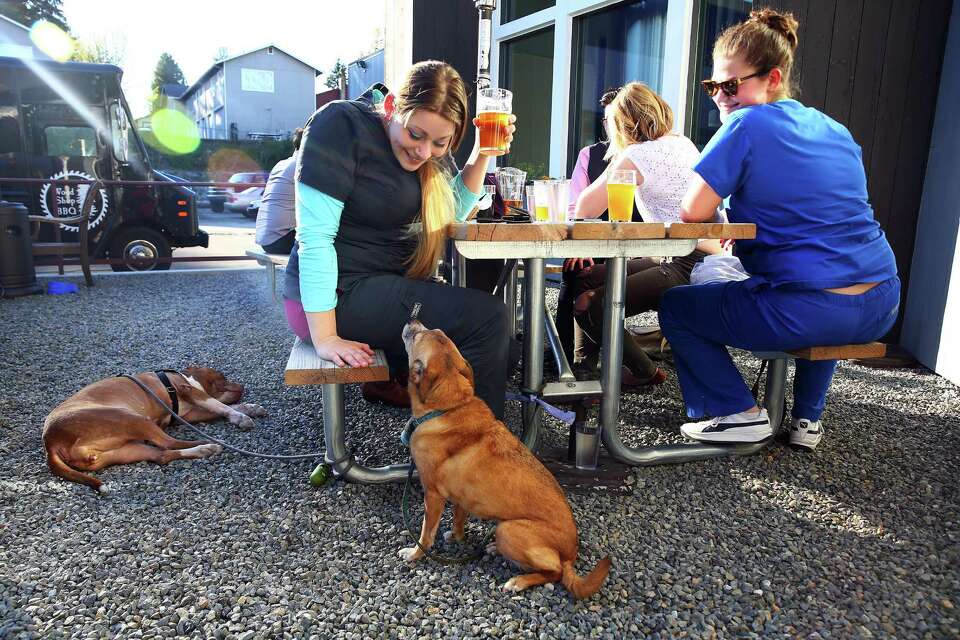 Pups, suds and grub: 16 dog-friendly bars, restaurants with patios in ...