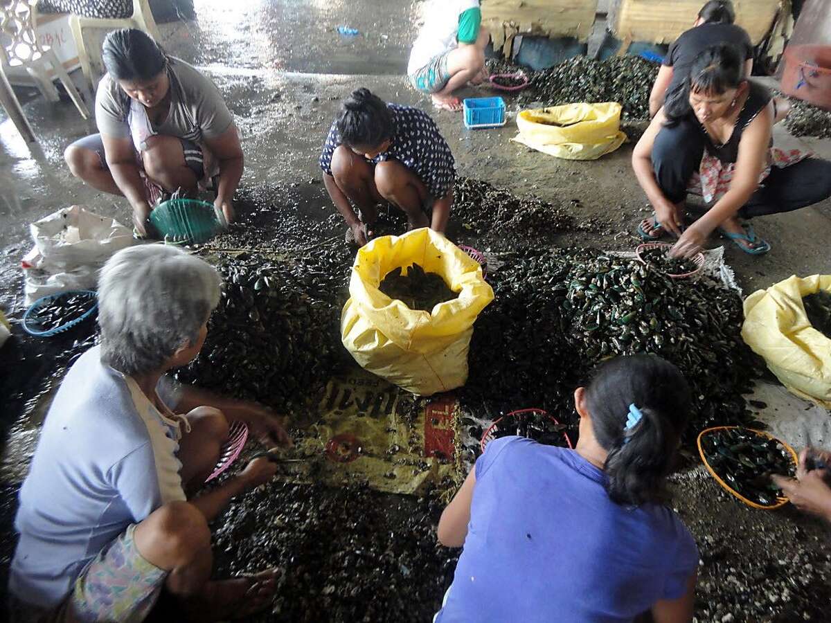 Worst erosion in 150 years tears 180 feet from SF's Ocean Beach