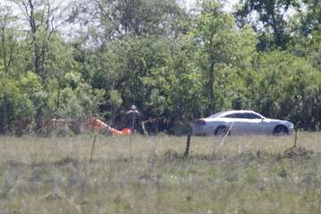 The William Lewis Reece case explained