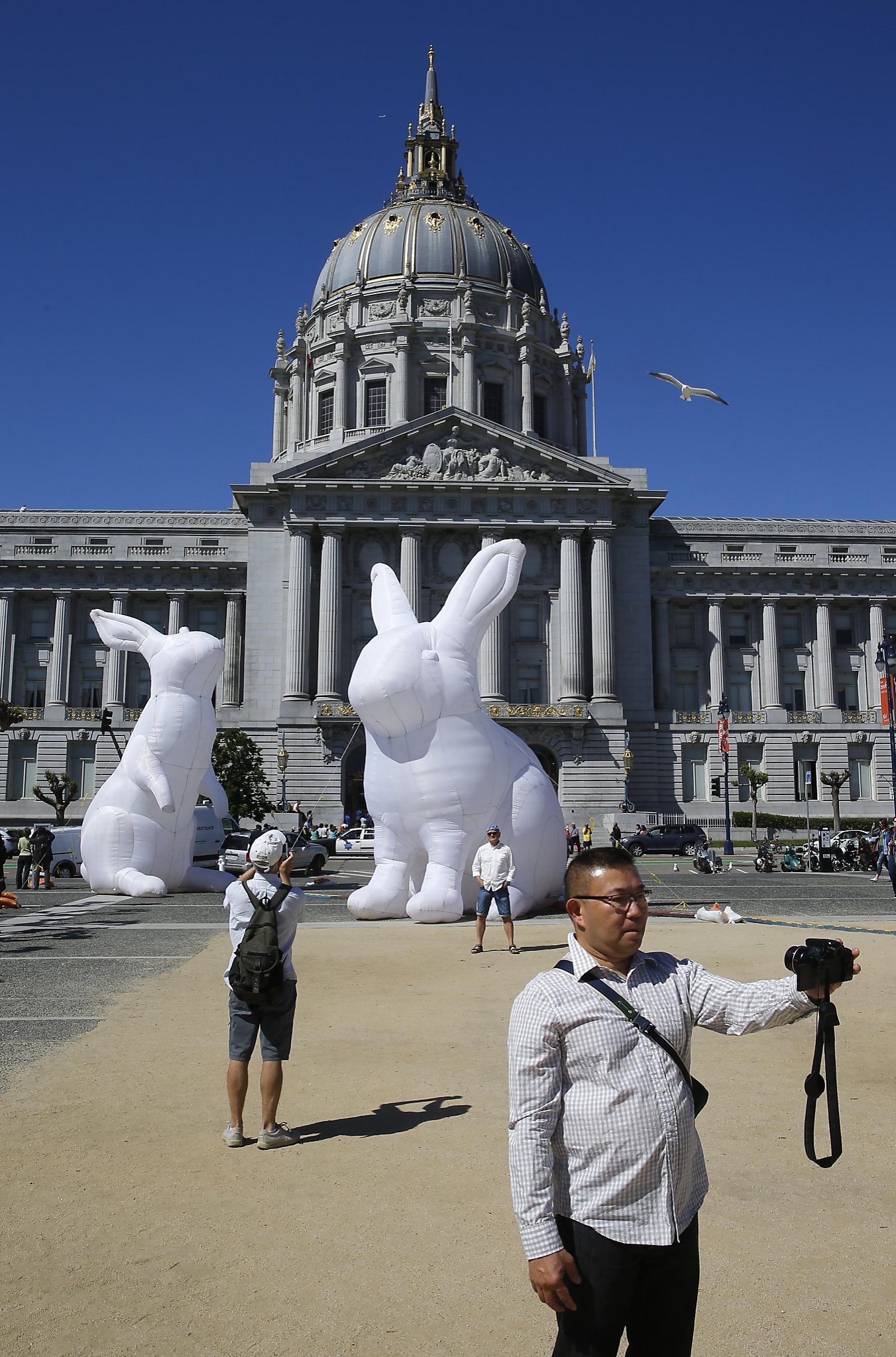 Giant bunnies a protected species at SF City Hall